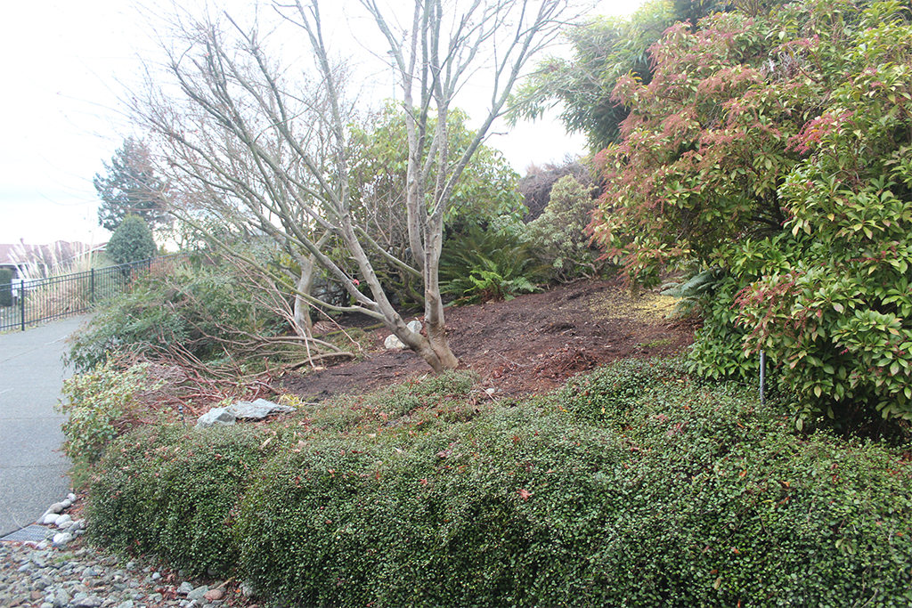 Turk Landscape Design | Victoria, B.C. | Lagoon Lookout